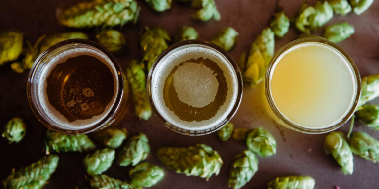 IBU - International bittering units - NanoBryg